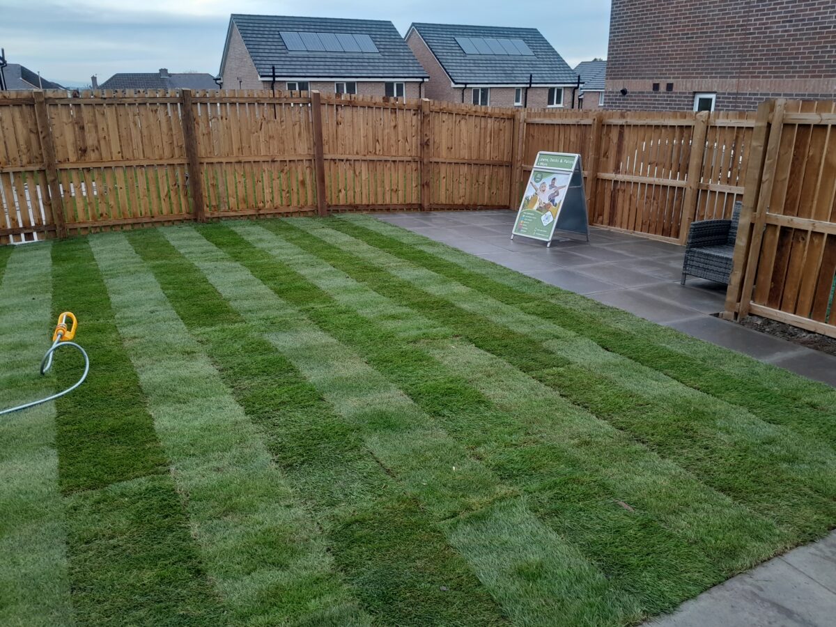 Showcase - Last Lawns Plus