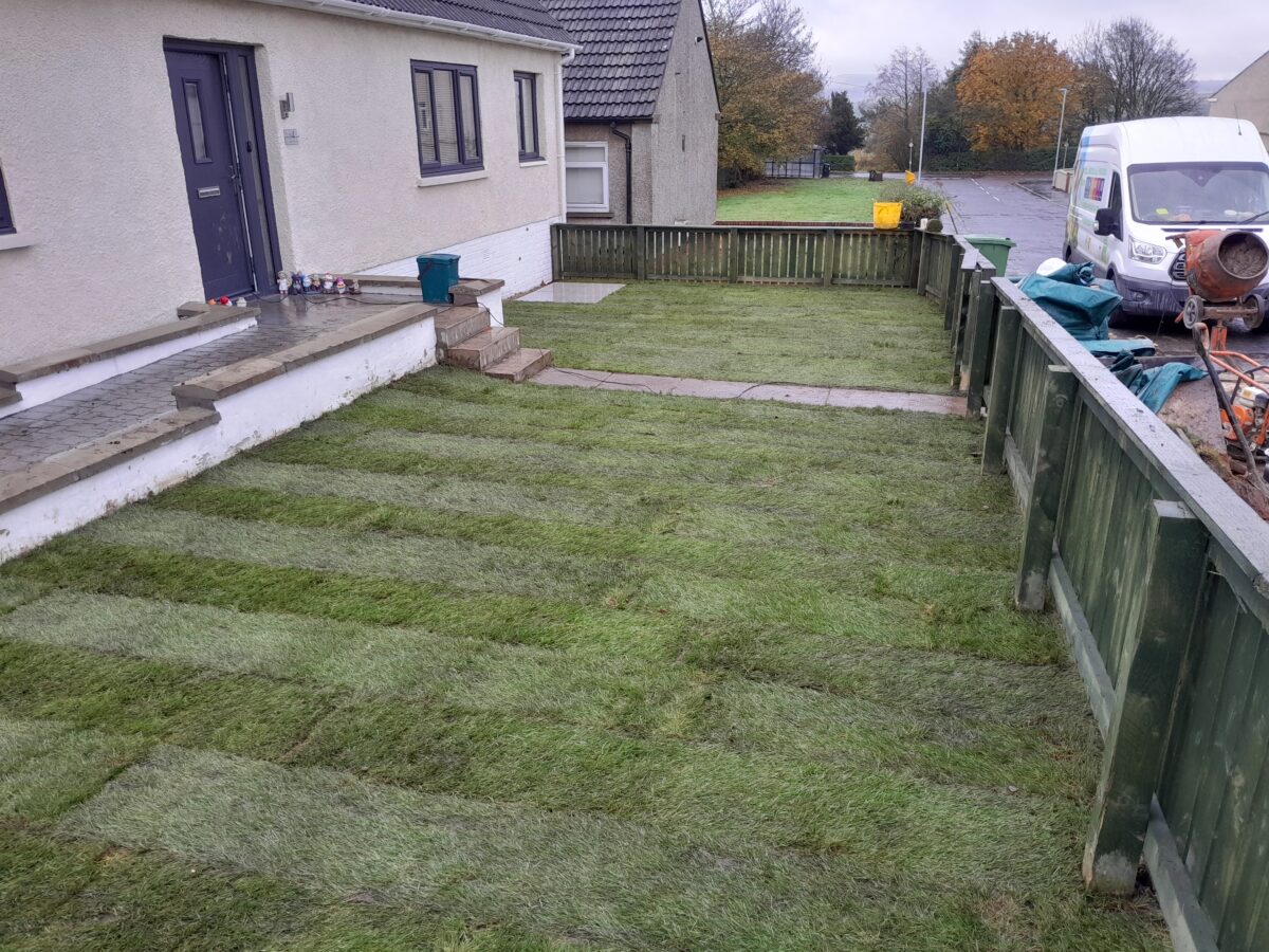 Showcase - Last Lawns Plus